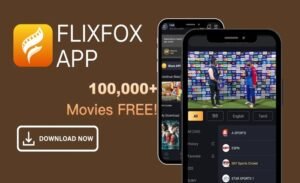 Flixfox Login: A Comprehensive Guide to Accessing Your Streaming Experience - Miflow